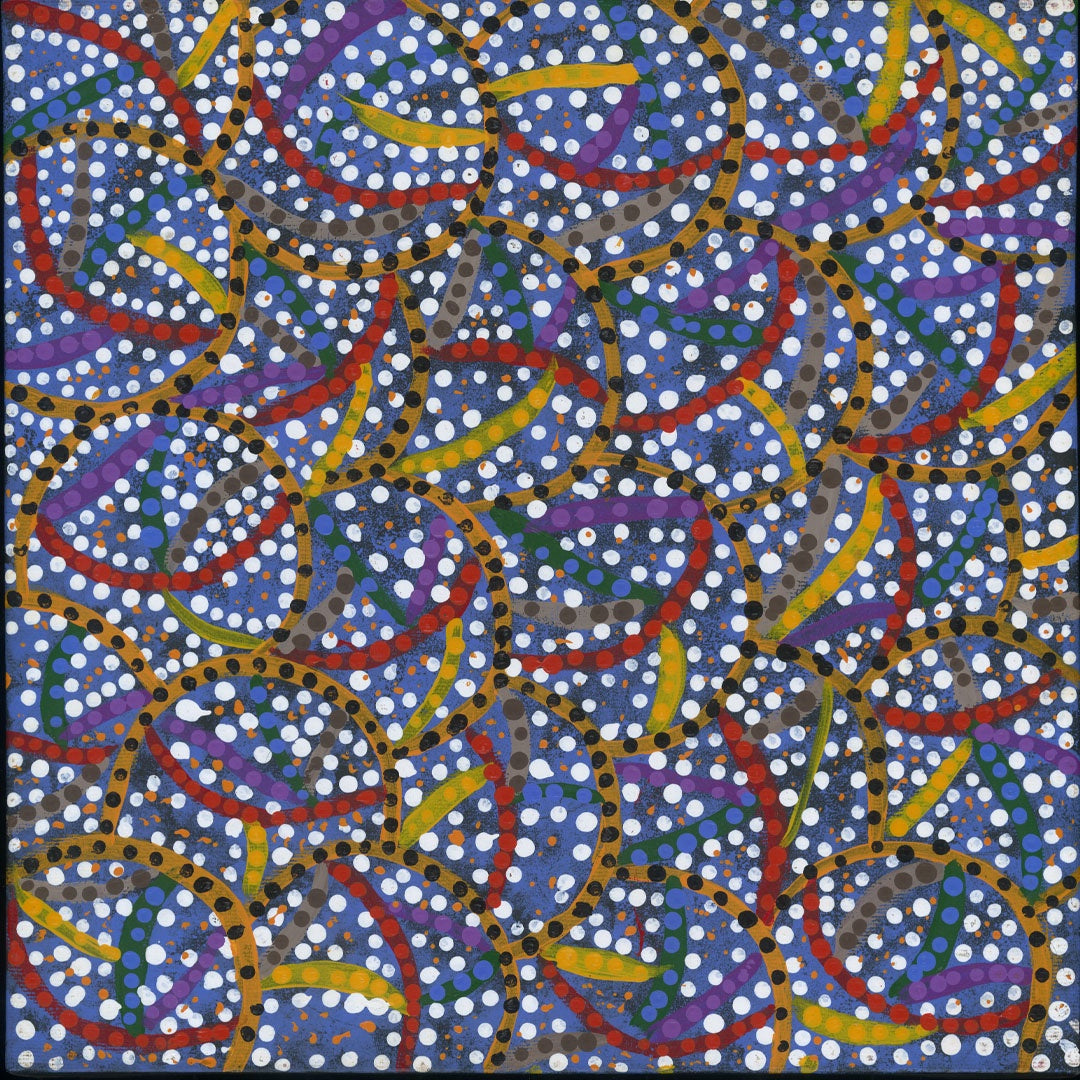 Cornelia Napaljarri Ronson's Canvas Art - Patterns of the Landscape ...